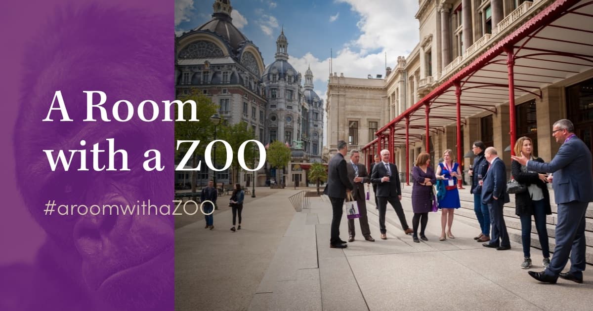 A Room with a ZOO - 360° Experience